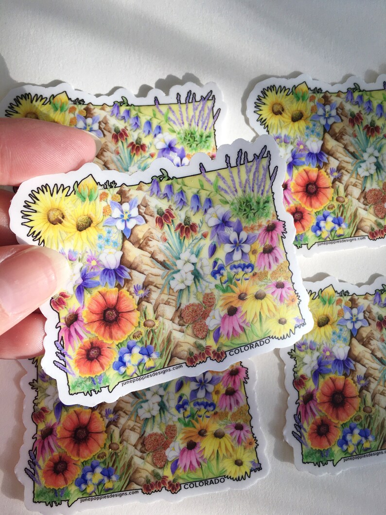 Colorado State Vinyl Sticker Watercolor Floral Outdoor Art | Etsy