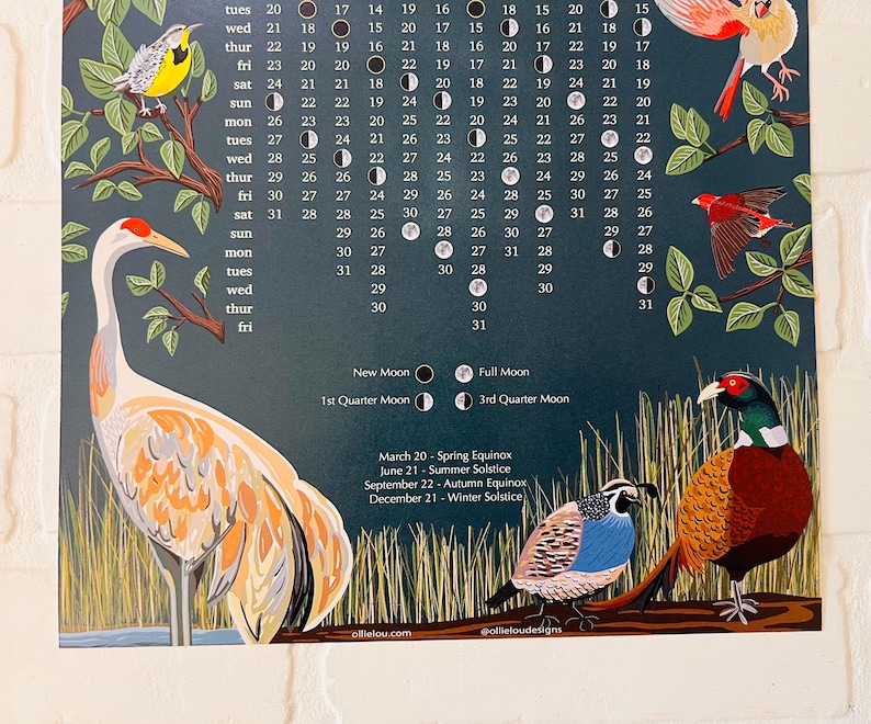 2026 Bird and Moon Phase Calendar: 11x17 Lunar Art Print - Etsy