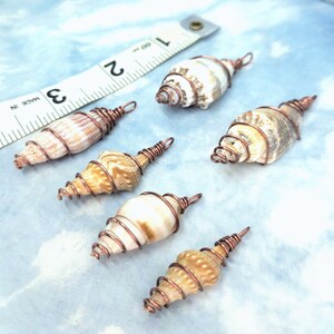 Copper Wire Wrapped Spiral Sea Shell Necklace - Nautical Ocean Jewelry ...