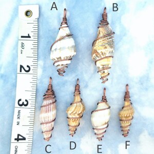 Copper Wire Wrapped Spiral Sea Shell Necklace - Nautical Ocean Jewelry ...