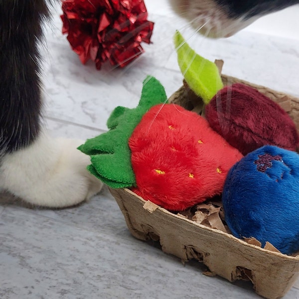 Cat Gift Basket - 60+ Gift Ideas for 2024