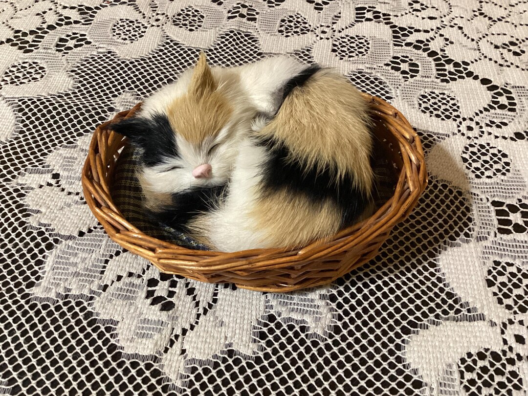 Vintage Lifelike Calico Cat Napping Figurine/statue - Etsy