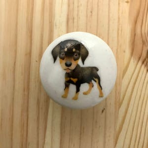 SET OF SIX, 1.5",dog Knobs,cabinet Knobs,drawer Pulls,rottweiler,yorkie ...