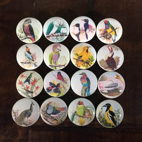 Bird Door Knobs - Etsy