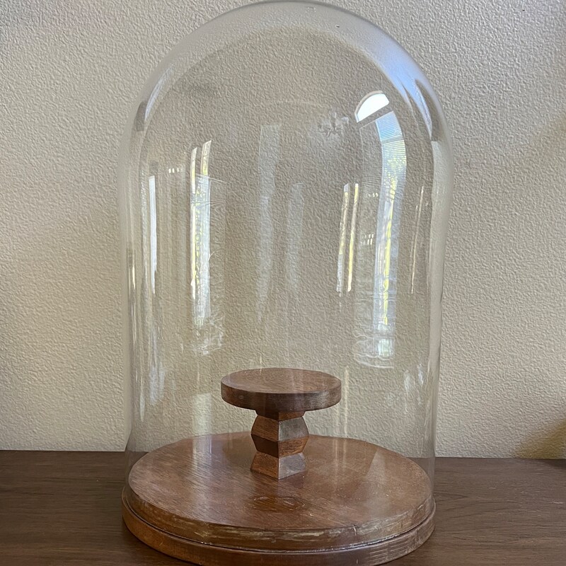 Glass Cloche - Etsy
