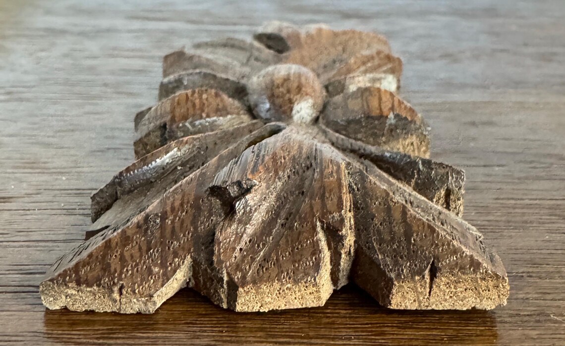 Antique Wood Rectangle Rosette Applique Rosette Medallions Decorative ...