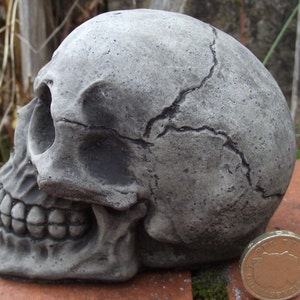 Small Skull Stone Garden Ornament Hand Cast 10 X 6 X 8 Cms 608 Grams - Etsy