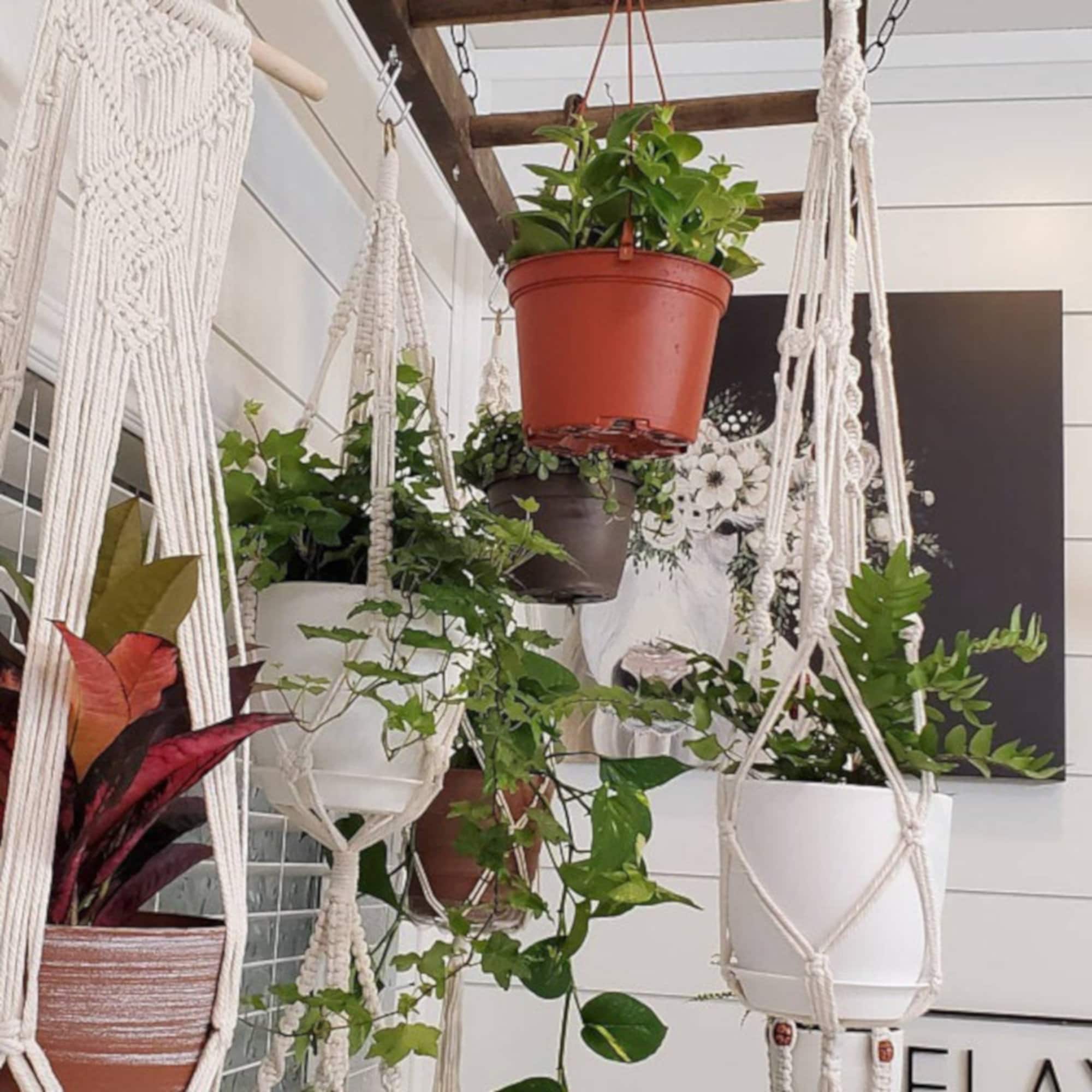 Bathroom Farmhouse Ladder Pot Rack Rustic Pot and Pan Holder - Etsy UK