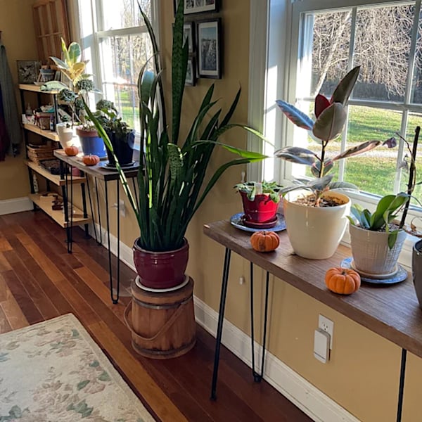 Window Plant Shelf - Etsy