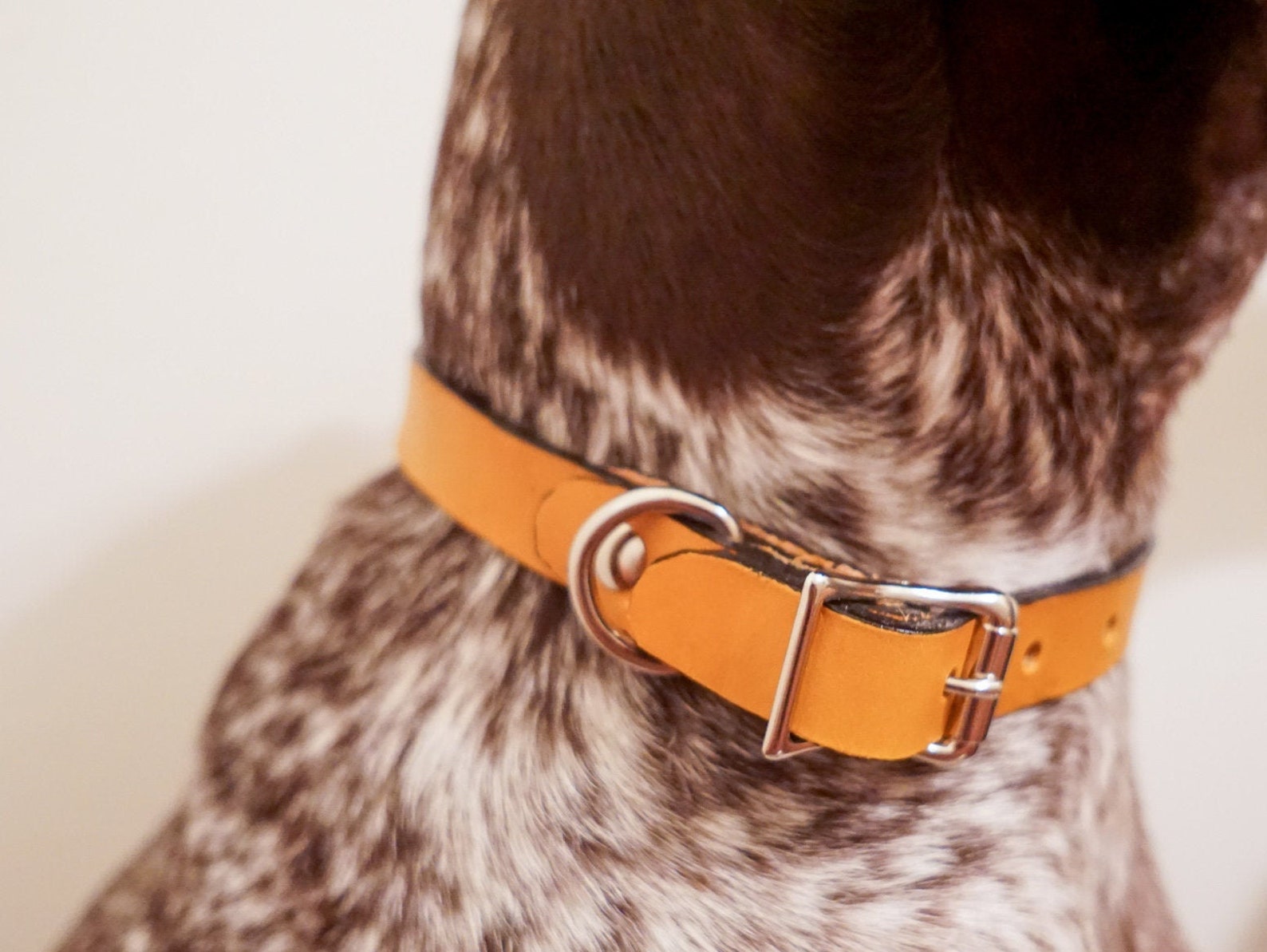 Custom Colored Leather Collar | Etsy