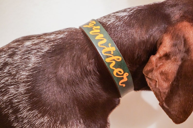 Custom Colored Leather Collar | Etsy