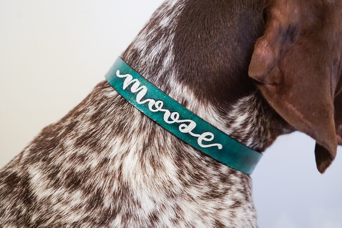 Custom Colored Leather Collar | Etsy