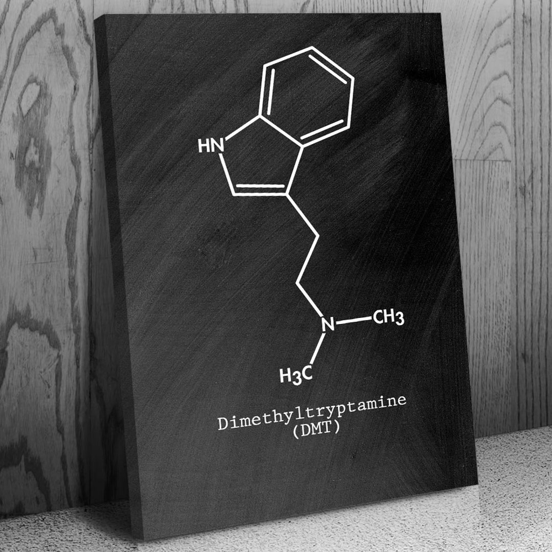 DMT Molecule Canvas Print, DMT Art Print, Hippie Gift, Stoner Gift ...