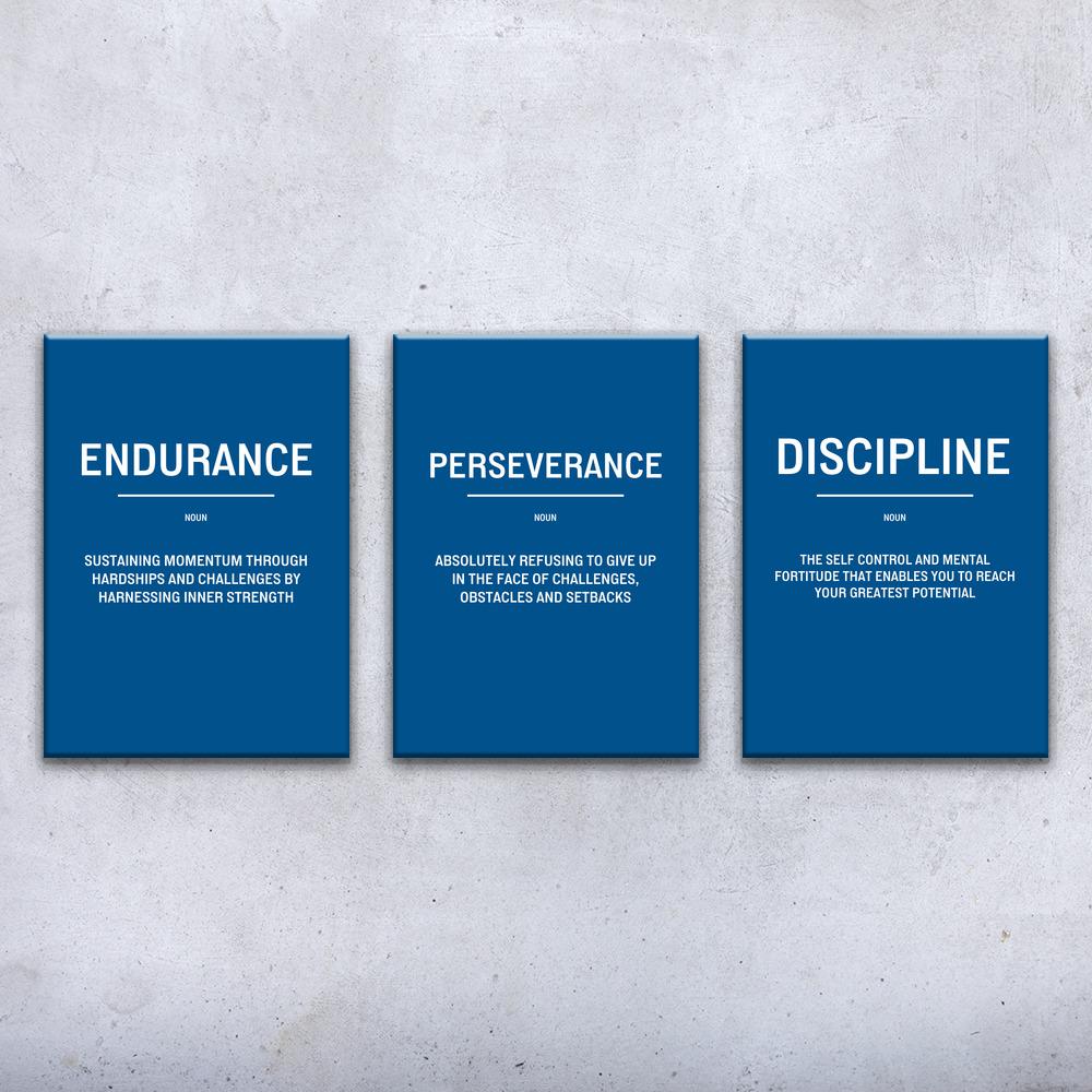 Endurance Motivational Prints Set of 3: Motivational Posters ...