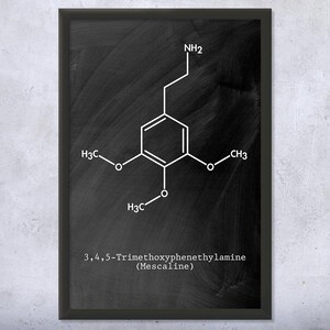 Framed Mescaline Molecule Wall Art Print, Mescaline Art, Shaman Gift ...