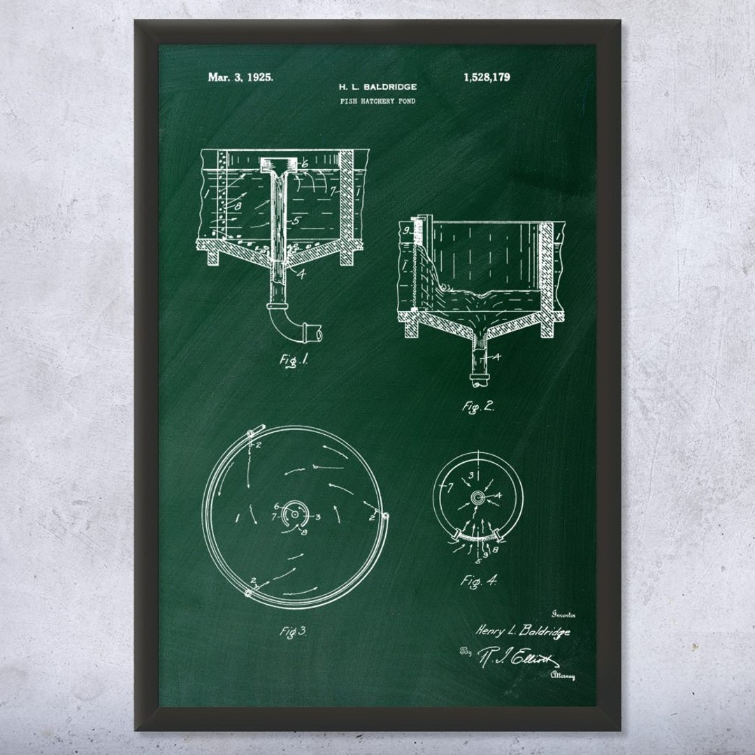 Framed Fish Hatchery Wall Art Print, Technician Gift, Fish Farming ...