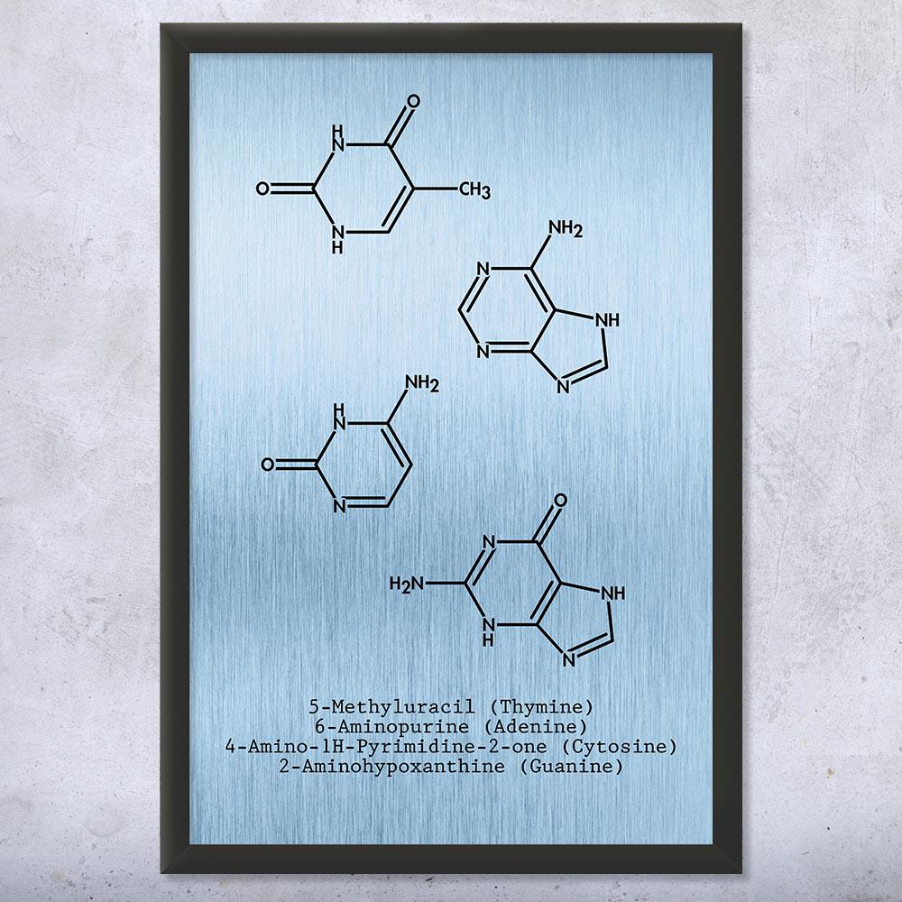 DNA Molecules Wall Art: Detective Gift, Biology Art Print - Etsy