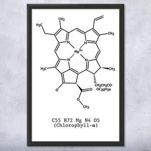Chlorophyll Molecule Wall Art Poster, Canvas or Framed Biology Art ...
