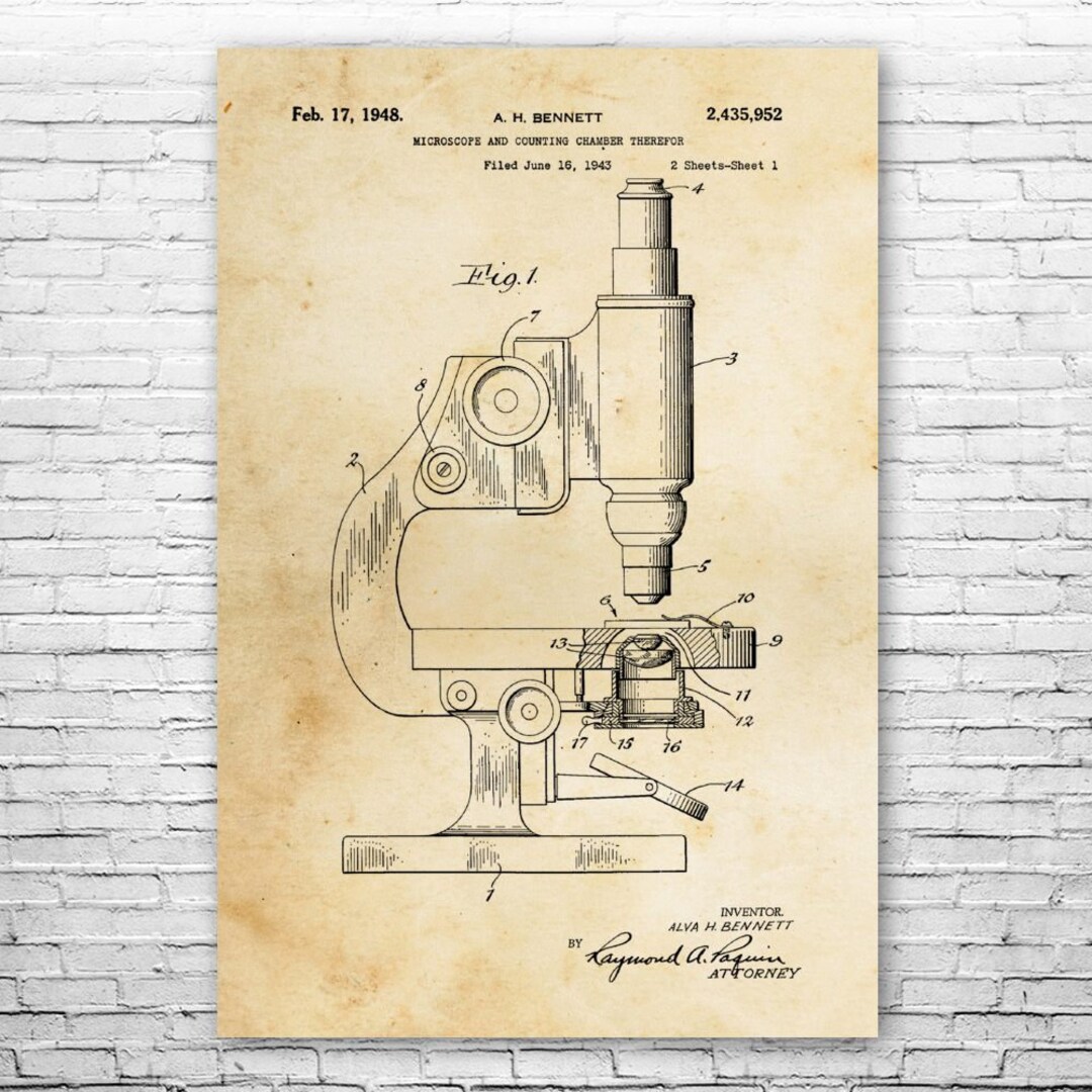 Microscope Poster Print, Microbiologist Gift, Science Decor, Microscope ...