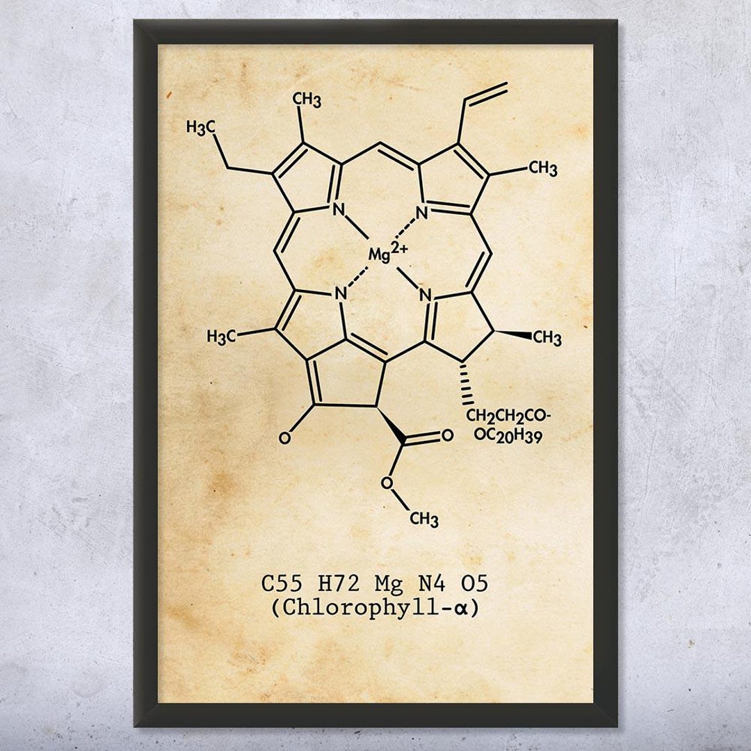Chlorophyll Molecule Wall Art | Poster, Canvas or Framed | Biology Art ...