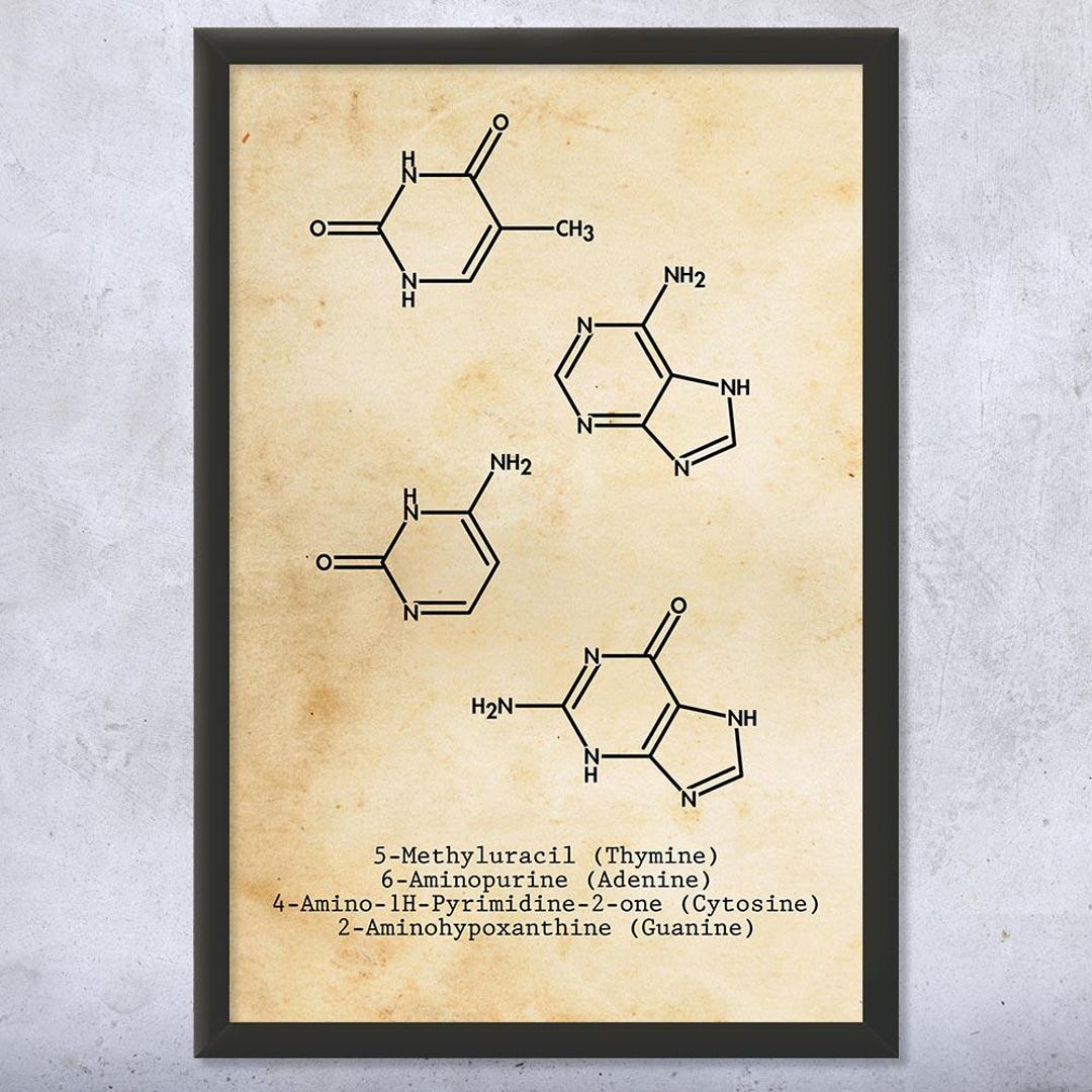 DNA Molecules Wall Art | Poster, Canvas or Framed | Detective Gift ...