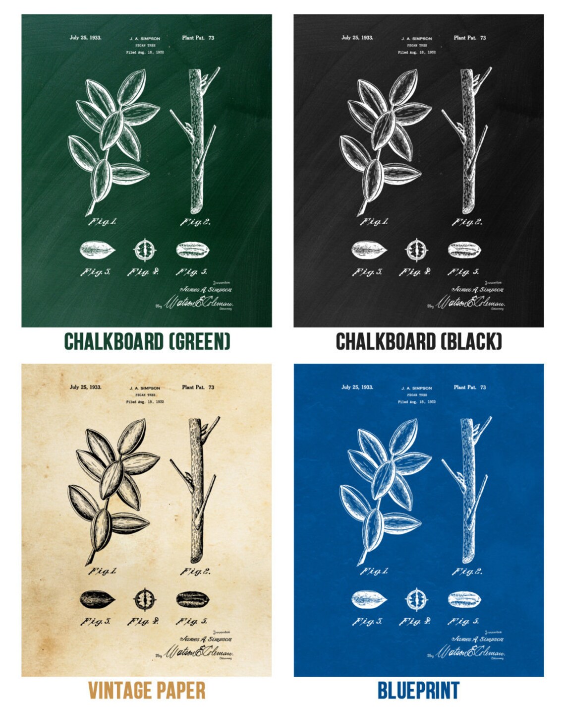 Framed Pecan Tree Wall Art Print Pecan Art Pecan Farmer | Etsy