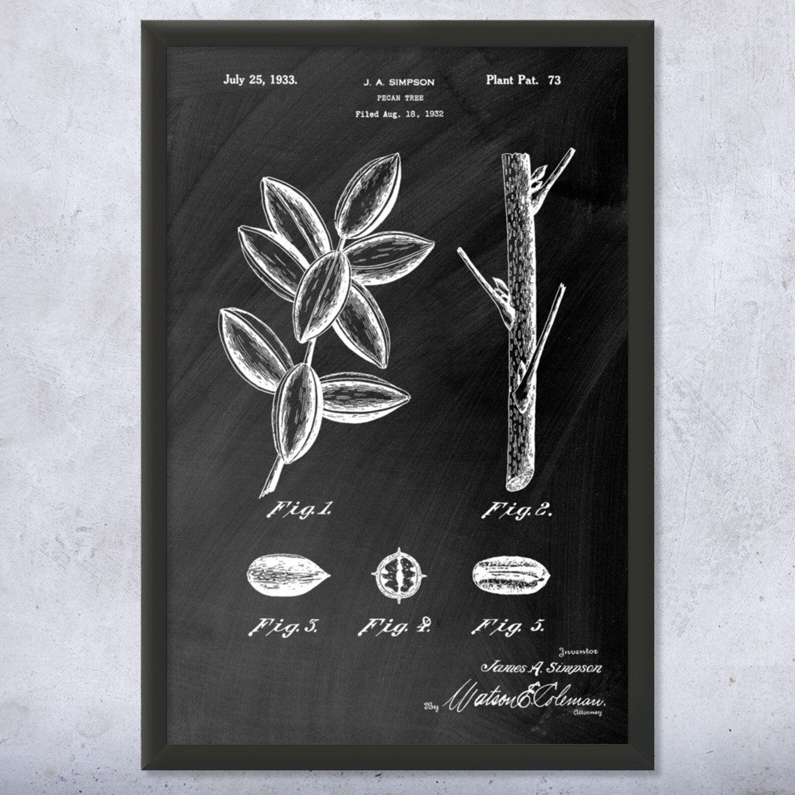 Framed Pecan Tree Wall Art Print Pecan Art Pecan Farmer - Etsy