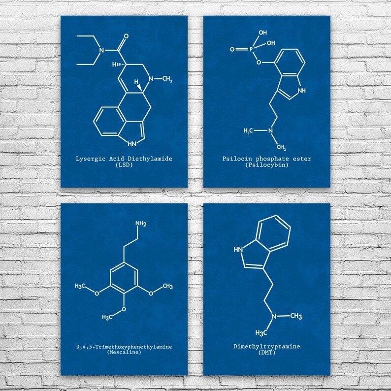 Psychedelic Molecules Posters Set of 4 Acid Art Print Stoner - Etsy