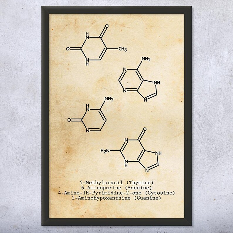 DNA Molecules Wall Art: Detective Gift, Biology Art Print - Etsy