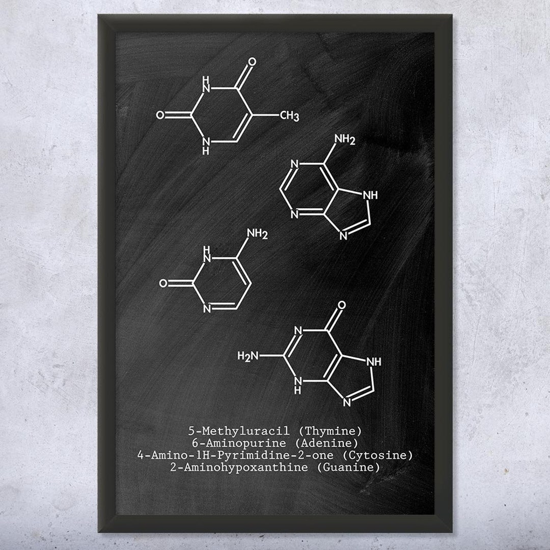 Framed DNA Molecules Wall Art Print Detective Gift Biology - Etsy
