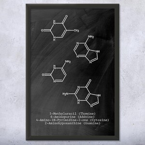 DNA Molecules Wall Art | Poster, Canvas or Framed | Detective Gift ...