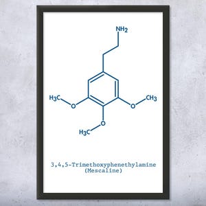 Framed Mescaline Molecule Wall Art Print, Mescaline Art, Shaman Gift ...