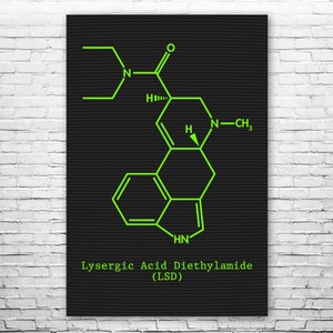 LSD Molecule Poster Print, Acid Art Print, Stoner Gift, Lsd Art, Head ...