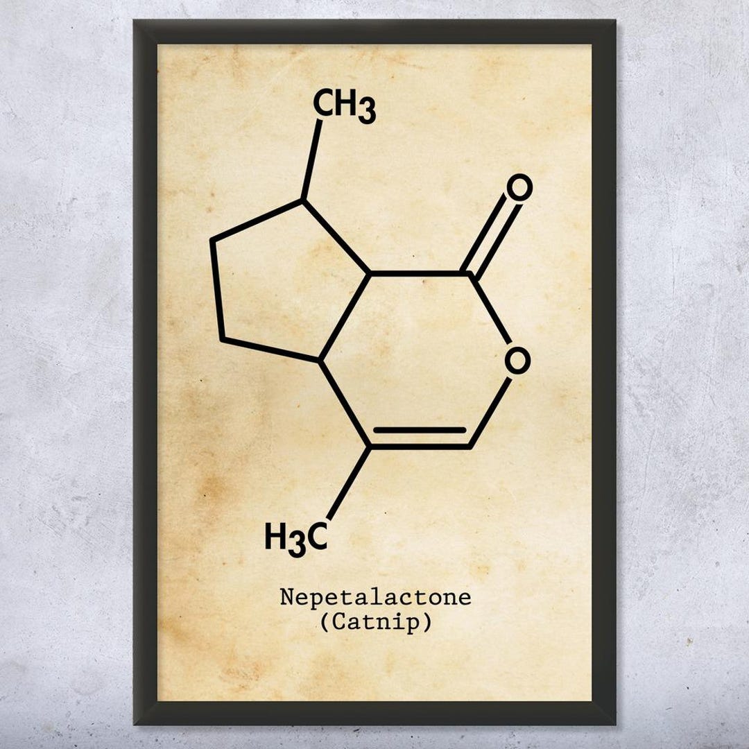 Nepetalactone Catnip Molecule Wall Art | Poster, Canvas or Framed ...