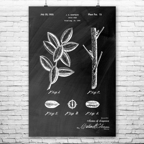 Pecan Tree - Etsy