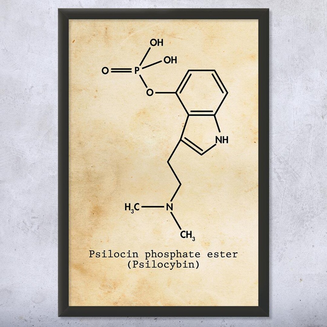 Psilocybin Molecule Wall Art: Magic Mushrooms, Psilocybin Art - Etsy