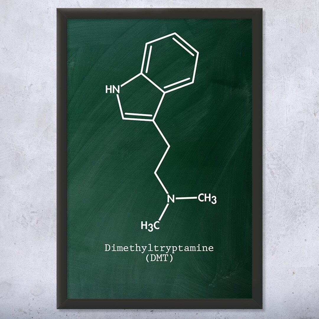 Framed DMT Molecule Wall Art Print, DMT Art Print, Hippie Gift, Stoner ...
