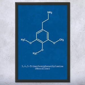 Framed Mescaline Molecule Wall Art Print, Mescaline Art, Shaman Gift ...