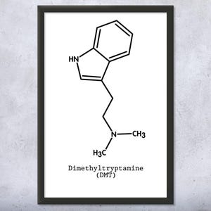 Framed DMT Molecule Wall Art Print, DMT Art Print, Hippie Gift, Stoner ...