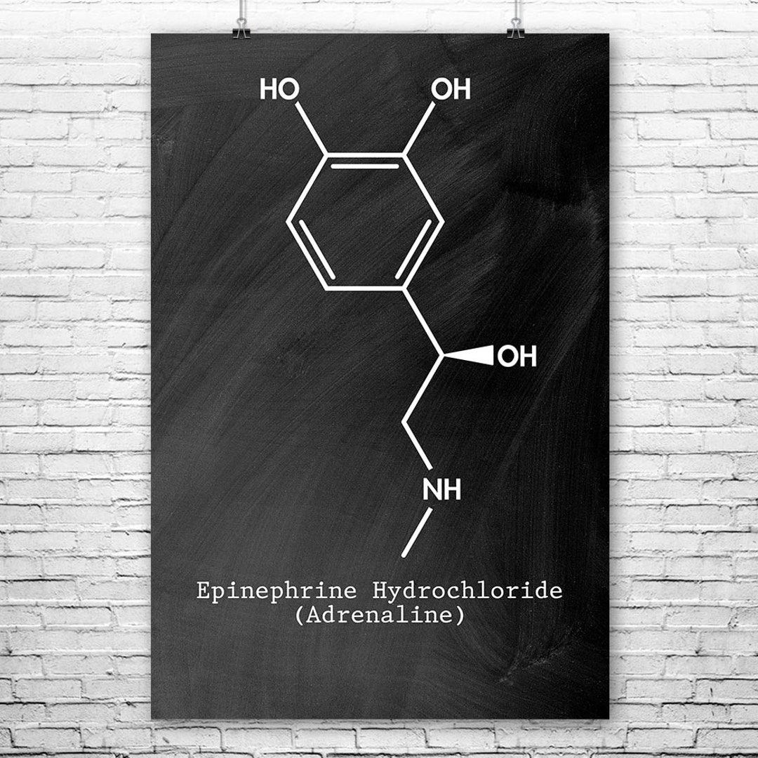Adrenaline Molecule Poster Print Biology Teacher Gift - Etsy