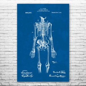 Anatomical Skeleton Poster Print, Human Anatomy Art, Skeleton Design ...
