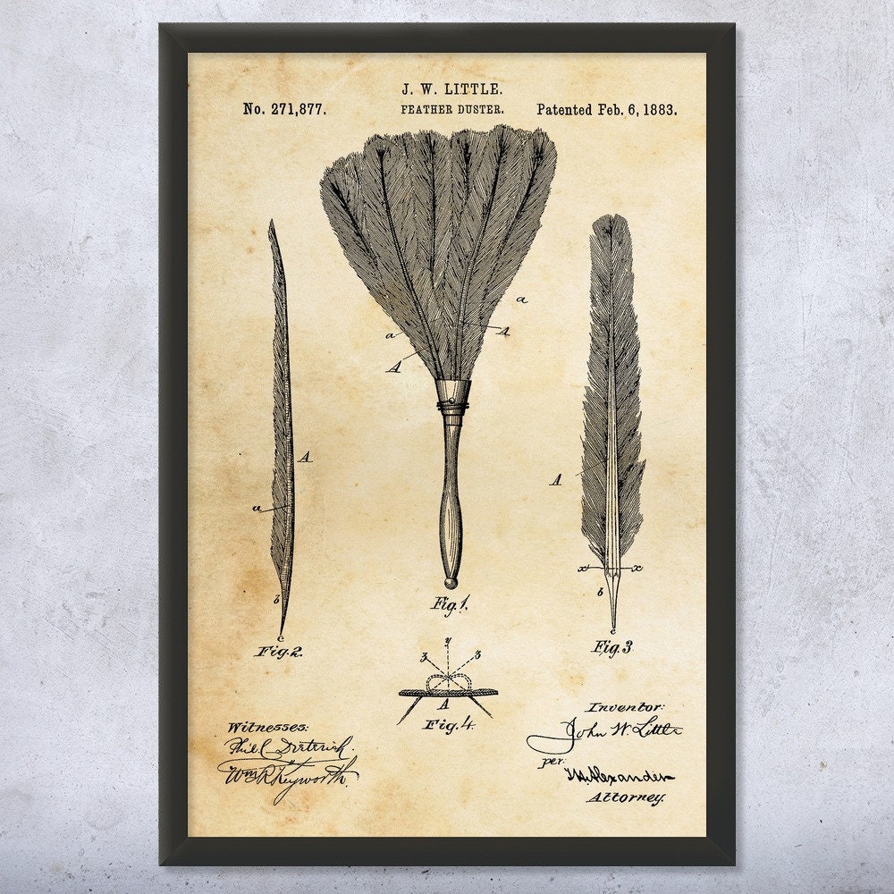 Feather Duster Drawing