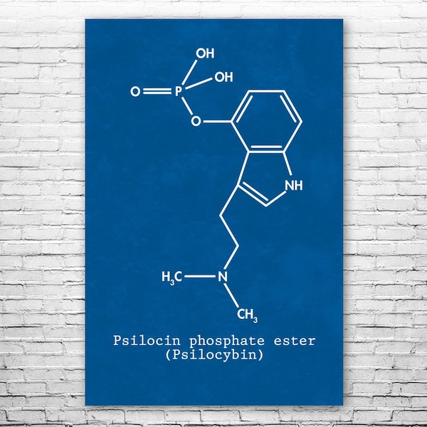 Psilocybin Art - Etsy