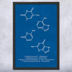 DNA Molecules Wall Art Poster, Canvas or Framed Detective Gift, Biology ...