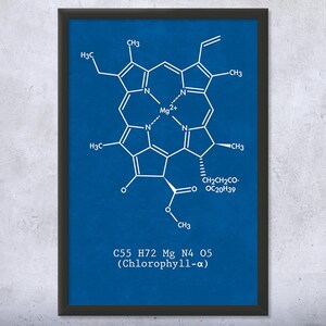 Chlorophyll Molecule Wall Art Poster, Canvas or Framed Biology Art ...