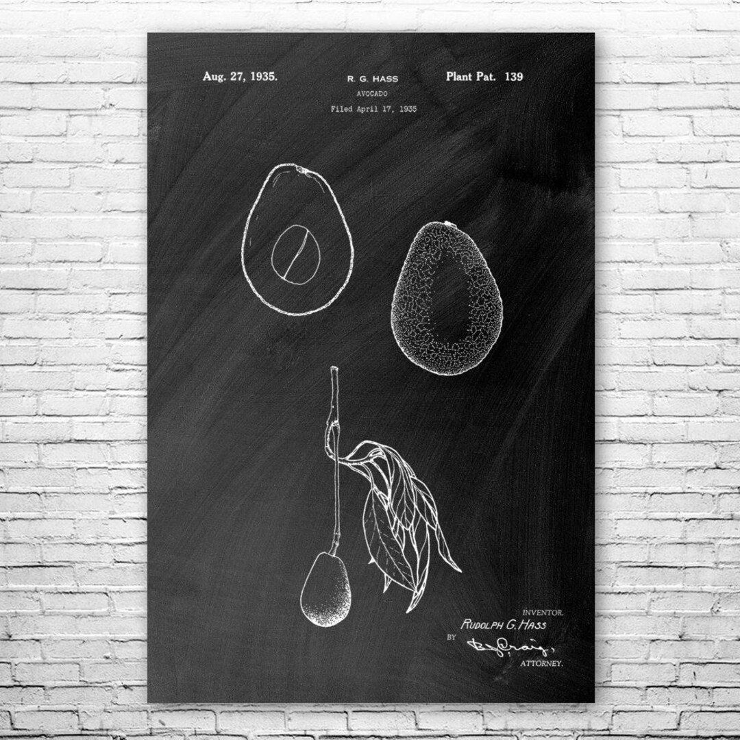Hass Avocado Poster Print Farmer Gift Kitchen Wall Art Chef - Etsy