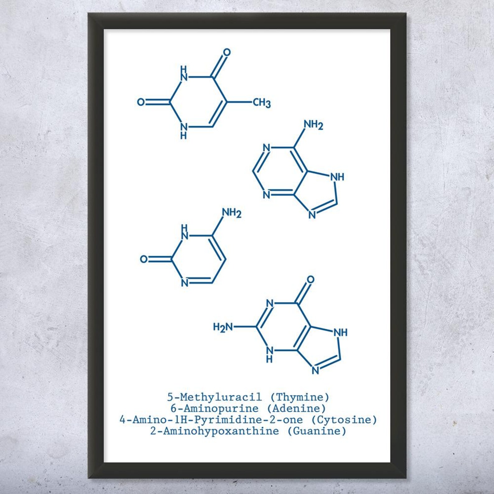 DNA Molecules Wall Art: Detective Gift, Biology Art Print - Etsy