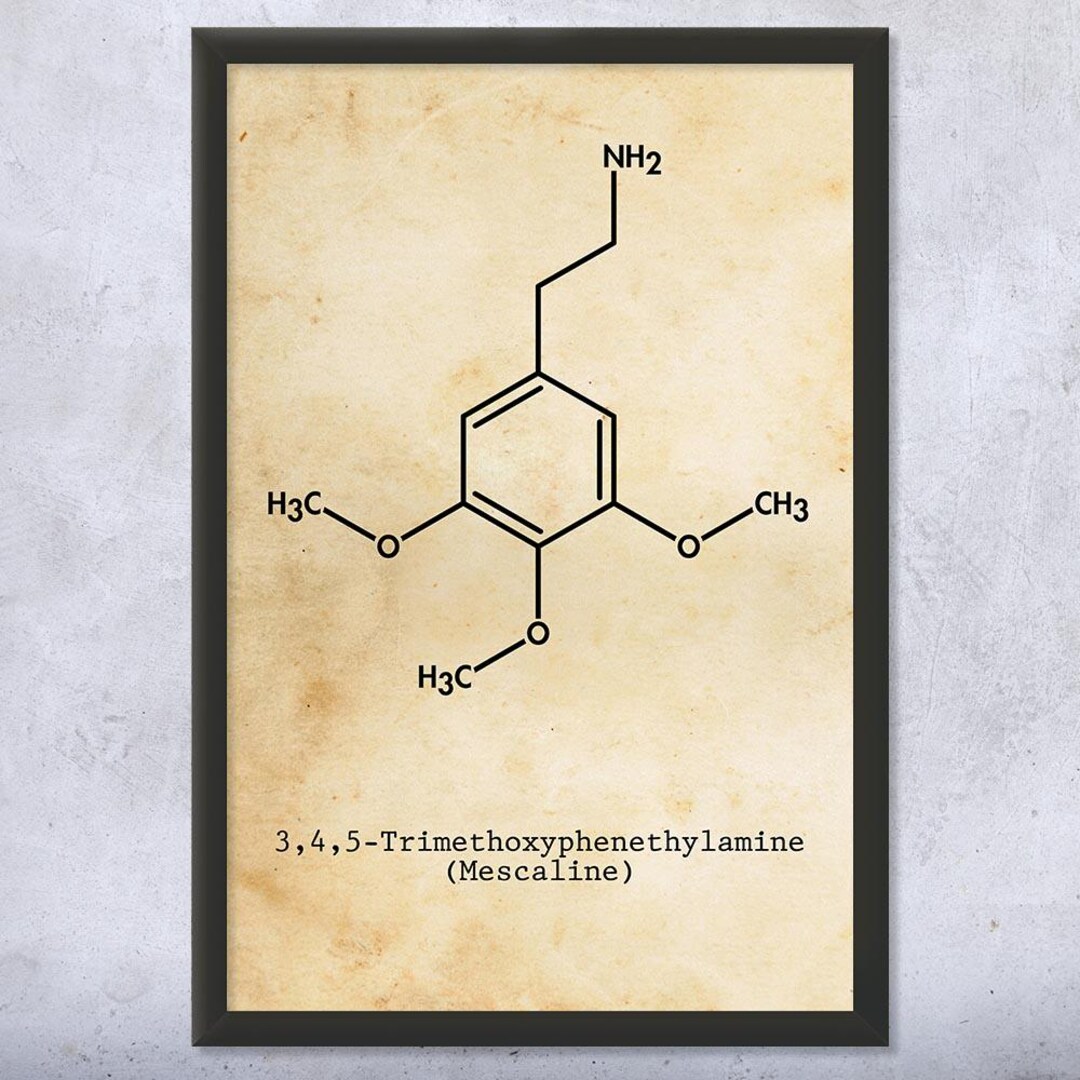 Mescaline Molecule Wall Art | Poster, Canvas or Framed | Mescaline Art ...