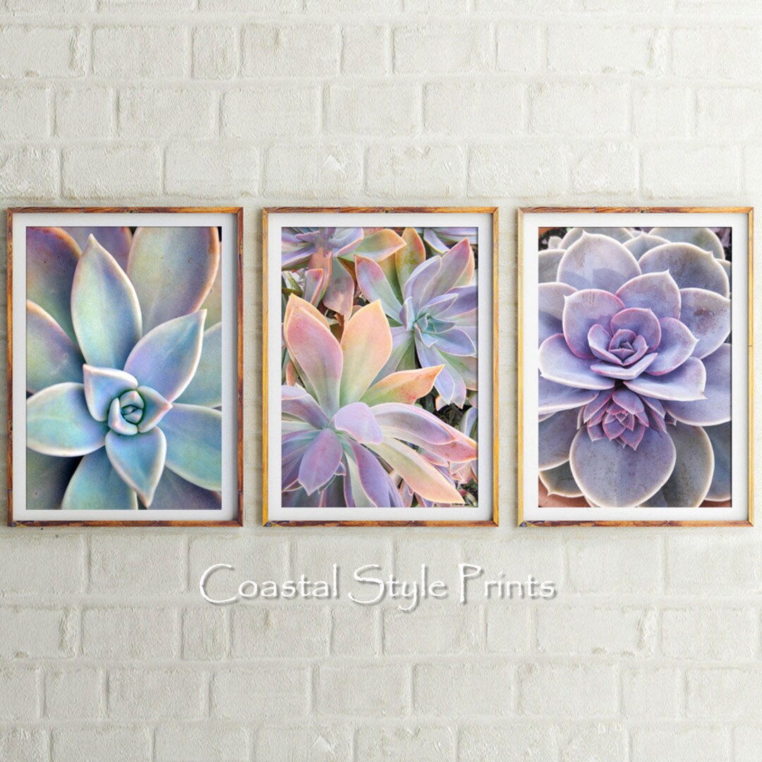 Cacti Wall Decor, Pastel Wall Art Prints, Set of 3 Prints, Cactus Print ...
