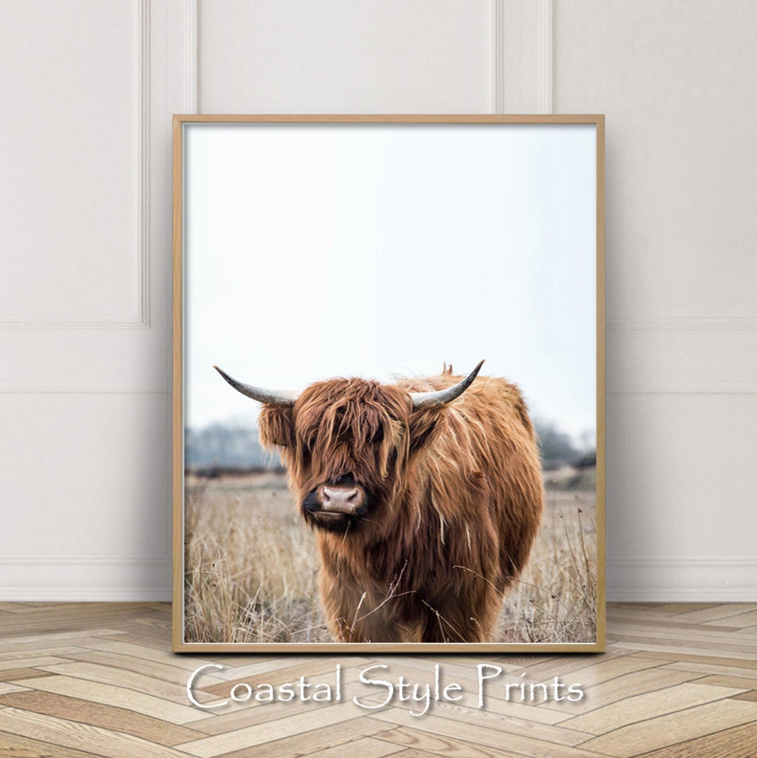 Highland Cow Print, Printable Animal, Cow Print, Modern Wall Art ...